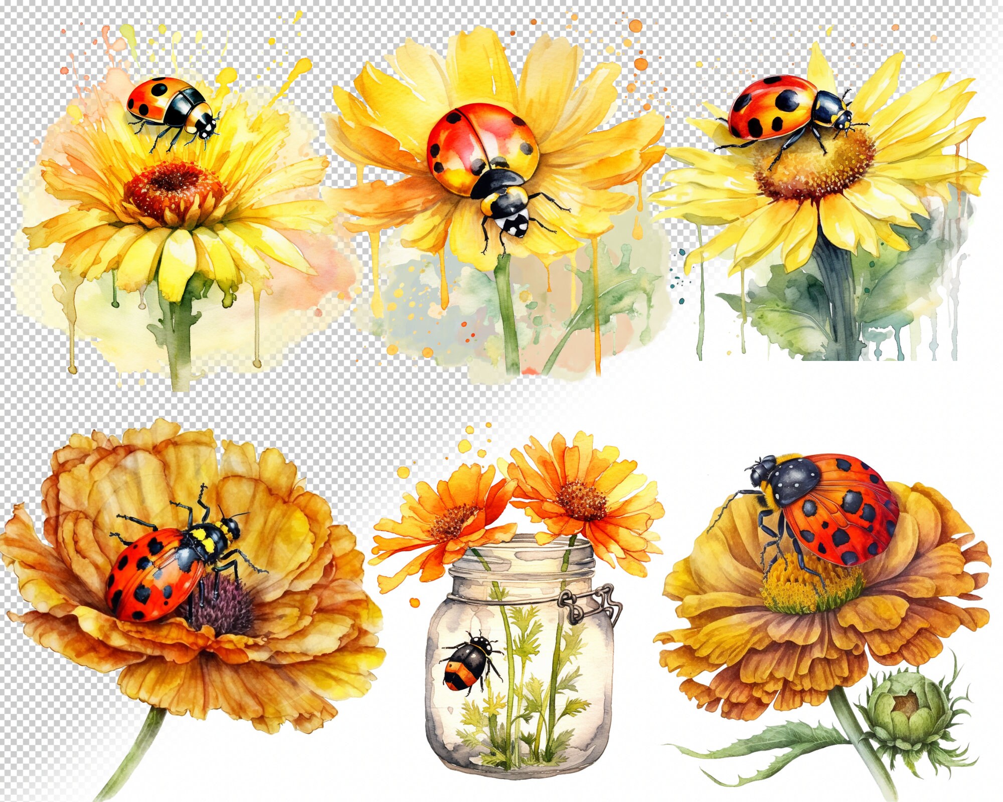 Ladybugs Watercolor Clipart | Summer and Spring Season | Clip Art | PNG ...