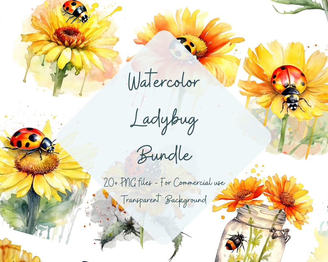 Ladybugs Watercolor Clipart | Summer and Spring Season | Clip Art | PNG ...