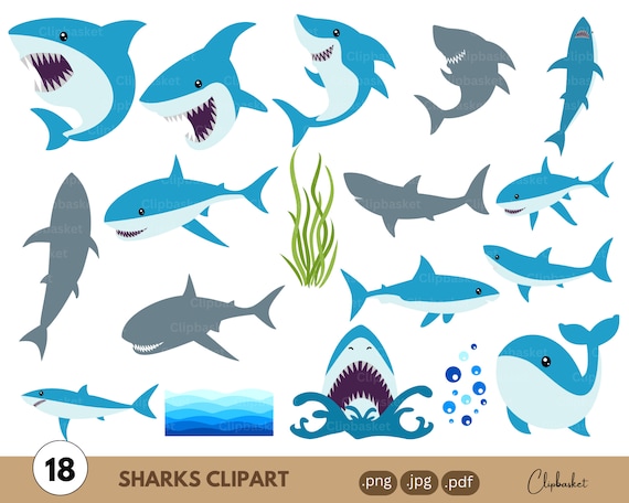 Baby Shark Clipart