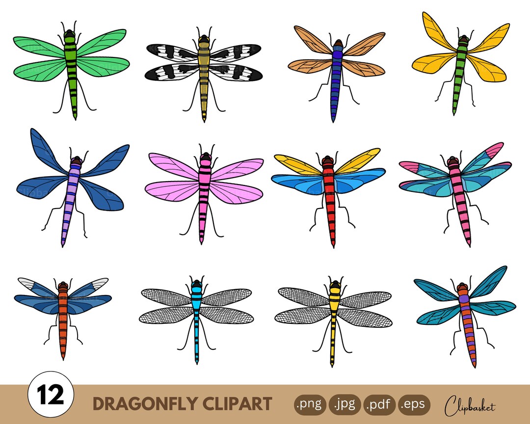 Libélulas Clip art Libélula Clipart Png Vector Primavera - Etsy España