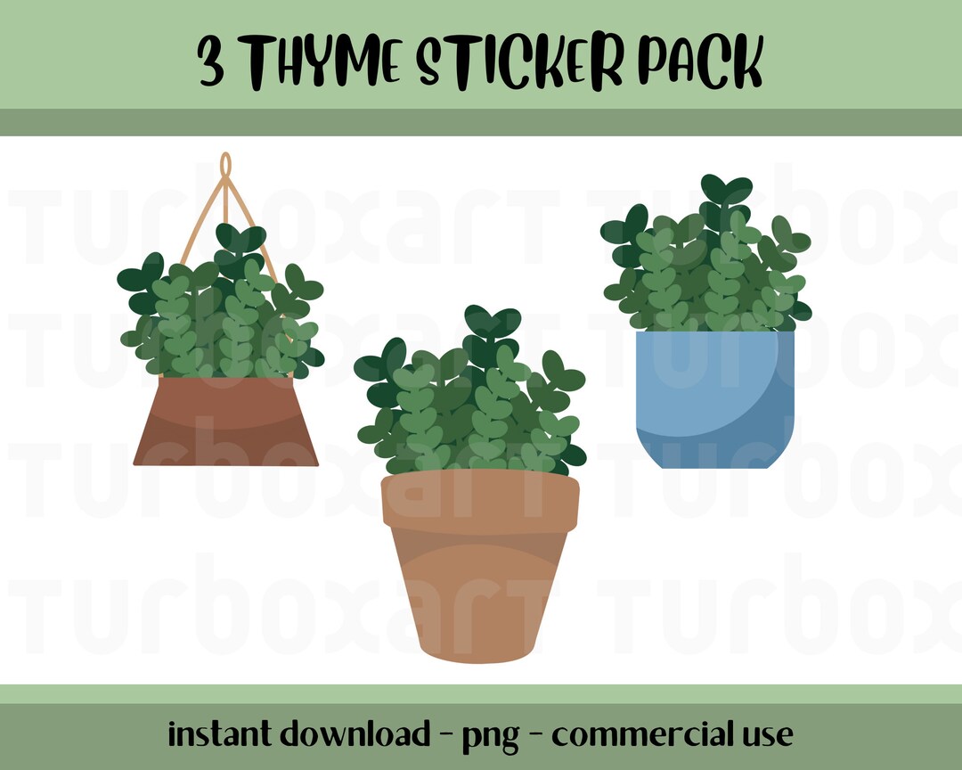 3 Thyme Digital Sticker Bundle Instant Download Digital Planner Pngs ...
