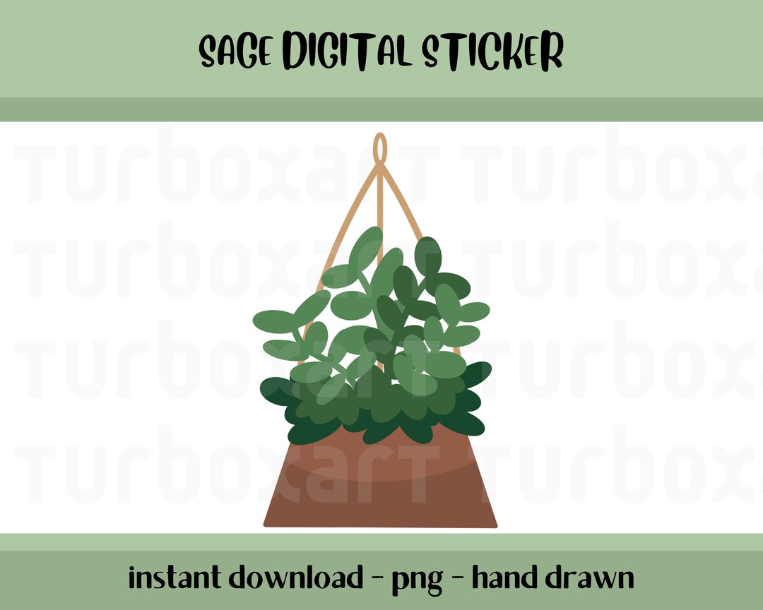 Sage Digital Sticker Instant Download Plant Digital - Etsy