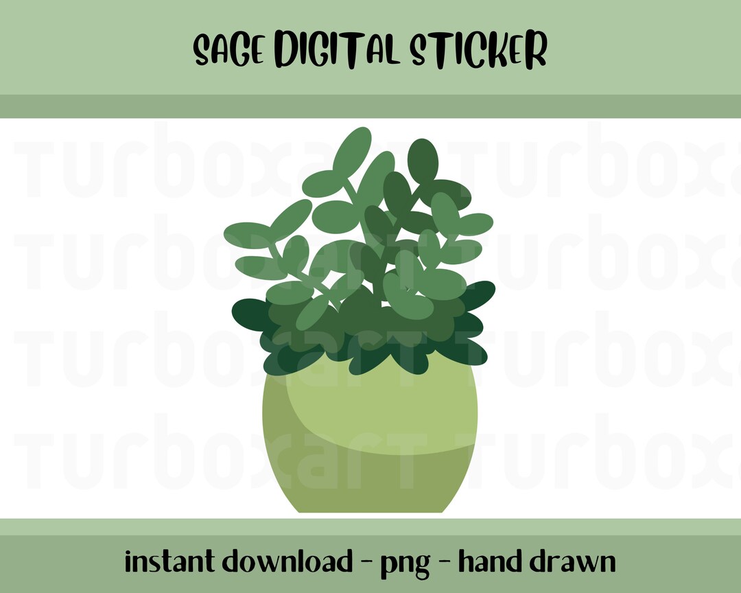 Sage Digital Sticker Instant Download Goodnotes Sticker Sage Clipart ...