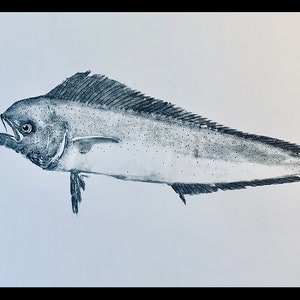 ORIGINAL "hook Up" Gyotaku - Mahi Mahi - West Australian - Traditional ...