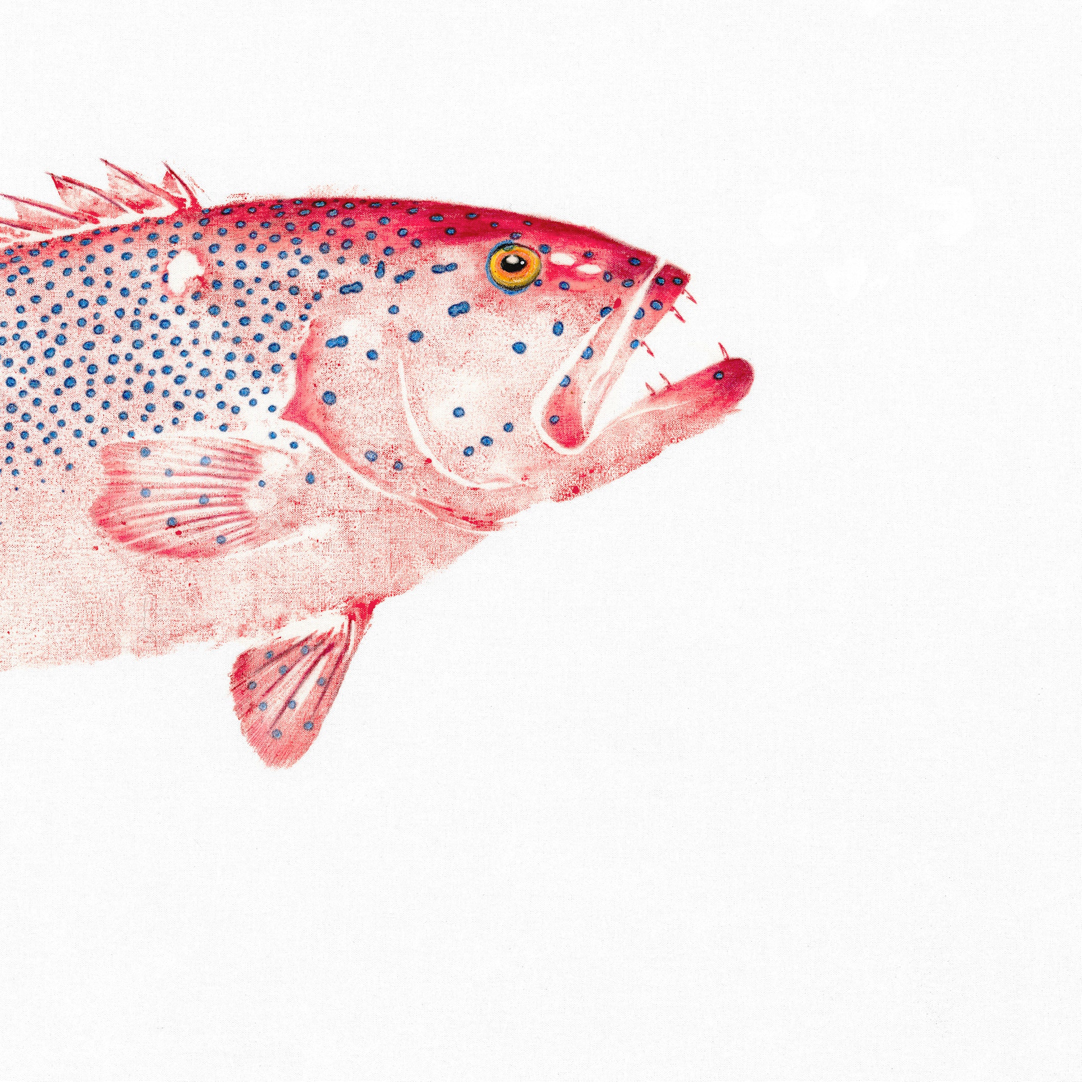 Bar Cheek Coral Trout Gyotaku Print Reproduction Cotton - Etsy