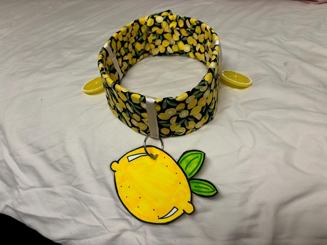 Furry / Therian Collar | Lemon Themed - Etsy