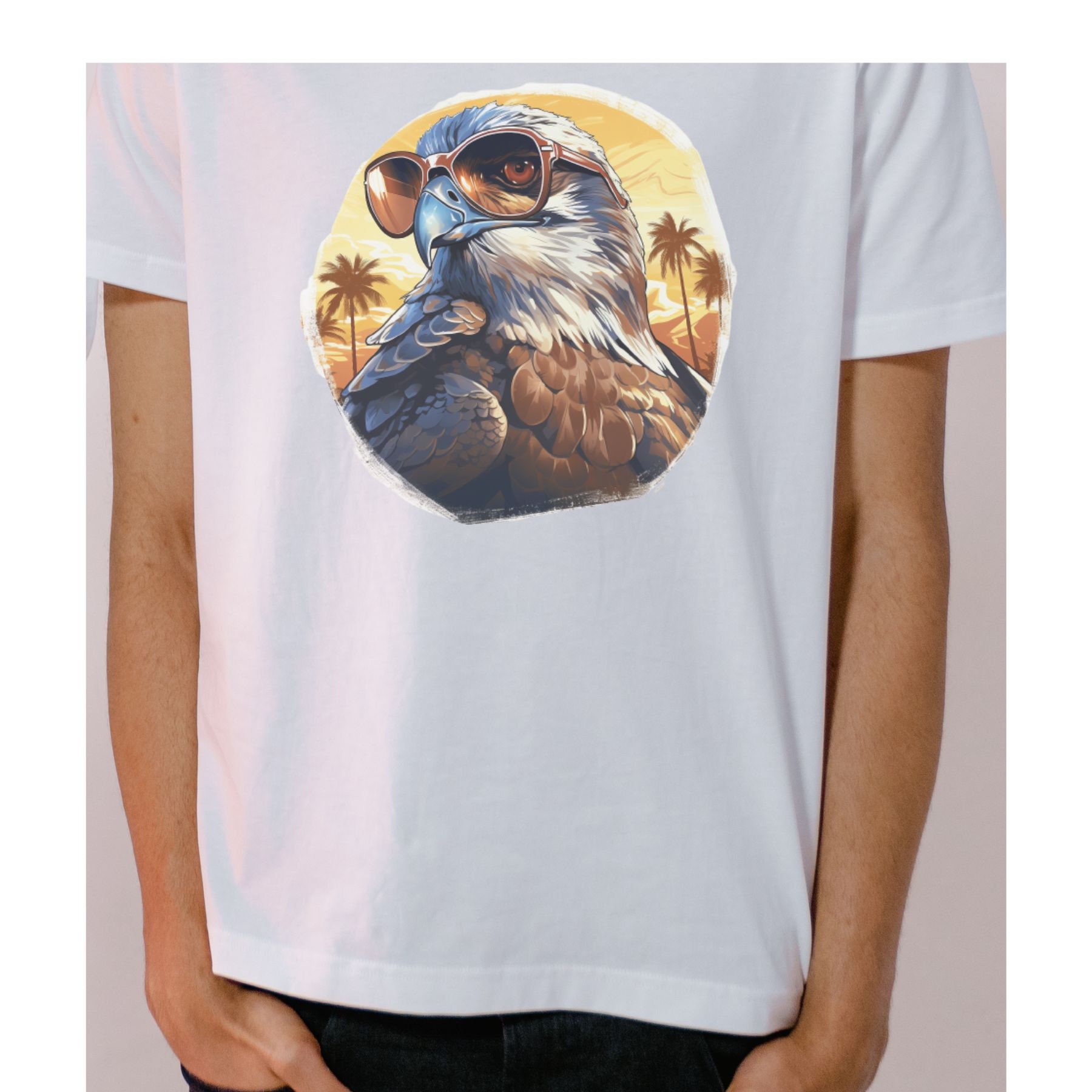 Falconry Png Falconry Shirt Falconry Tshirt Png Clipart Falcon Png ...