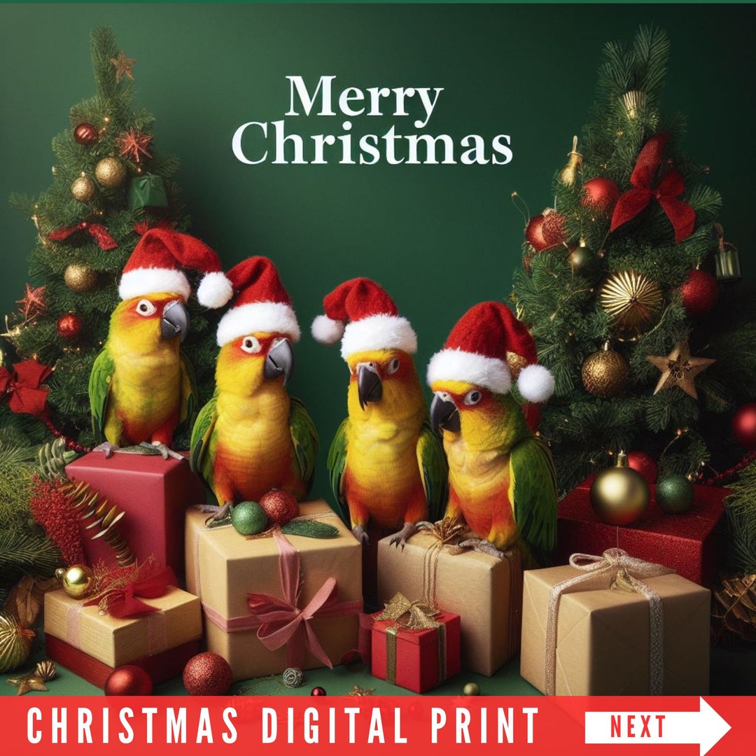 Funny Parakeet Christmas Png Funny Birds Christmas PNG Christmas ...