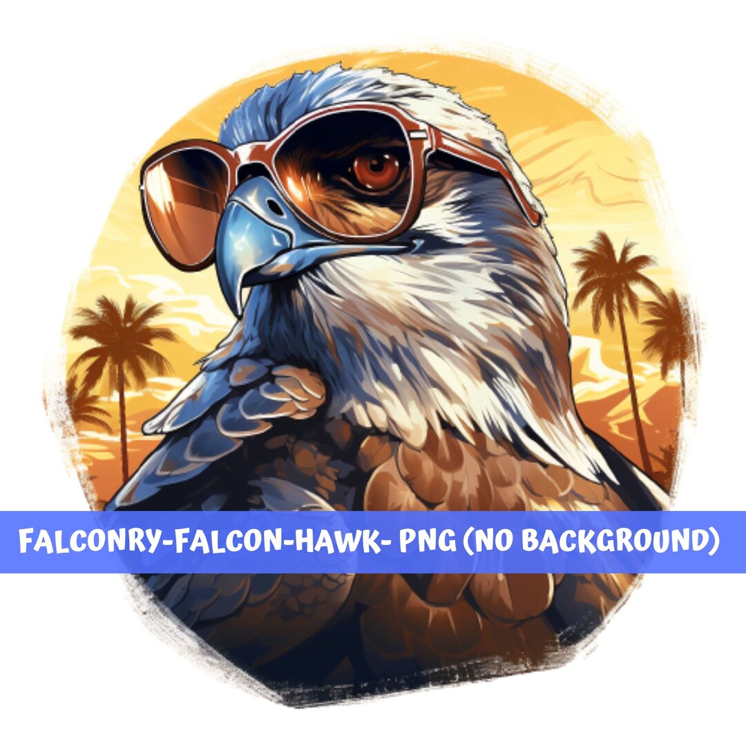 Falconry Png Falconry Shirt Falconry Tshirt Png Clipart Falcon Png ...