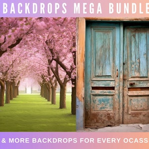 LIFETIME Digital Backdrops More Than 100 Backdrops Bundle Family ...
