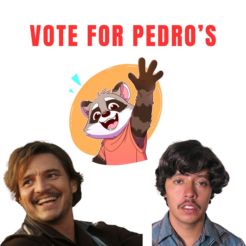 Pedro Pedro Dancing Raccoon, Vote for Pedro, Pedro Pascal, Meme Design ...