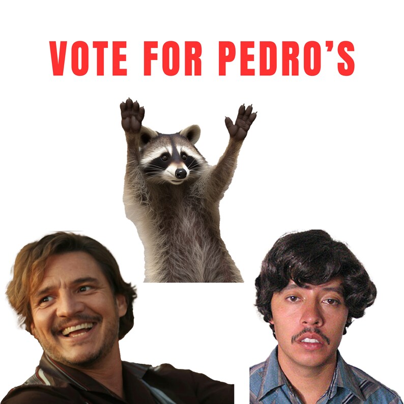 Pedro Pedro Dancing Raccoon, Vote for Pedro, Pedro Pascal, Meme Design ...