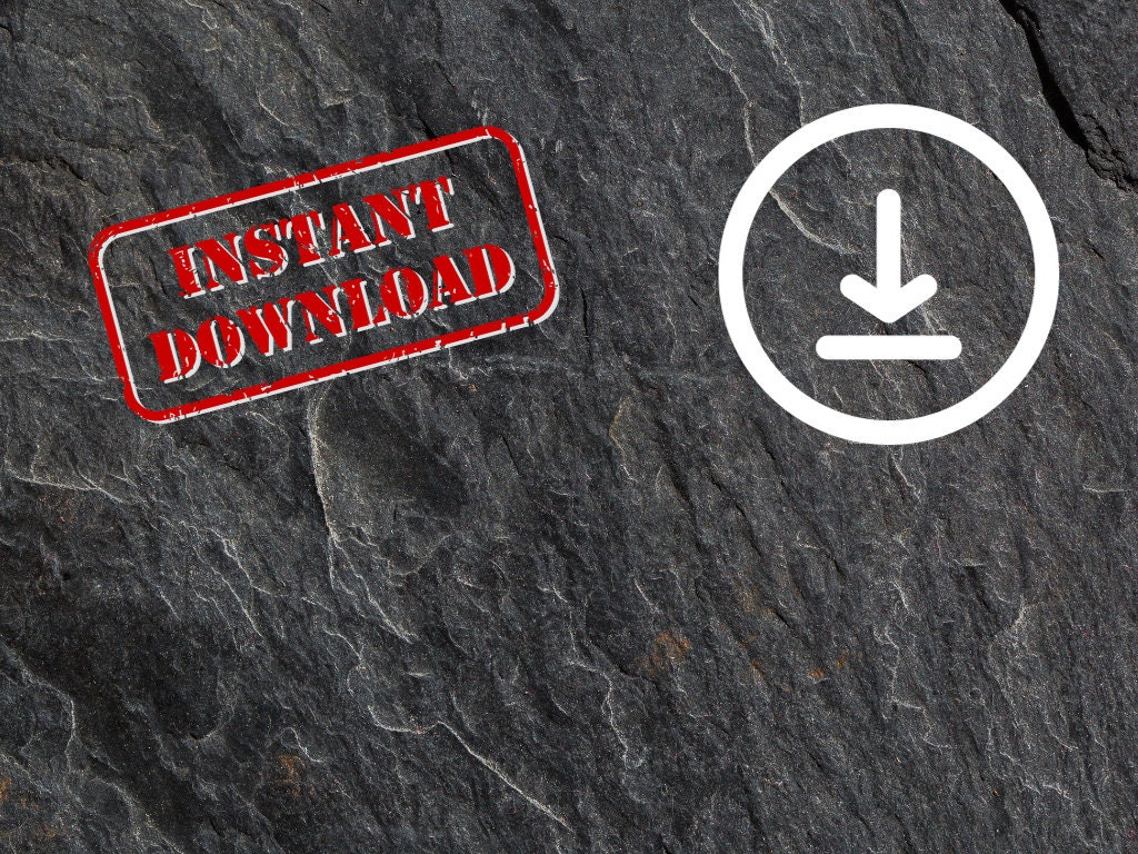 Digital Day Organizer: Downloadable Daily Planner Sheet Daily Pages ...