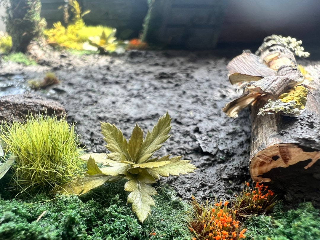 Small Jungle fern Like Plant for Diorama Scenery Terrain - Etsy