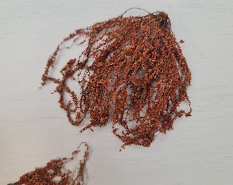 Miniature Climbing Vines for Dioramas, Tabletop, Model Railways ...