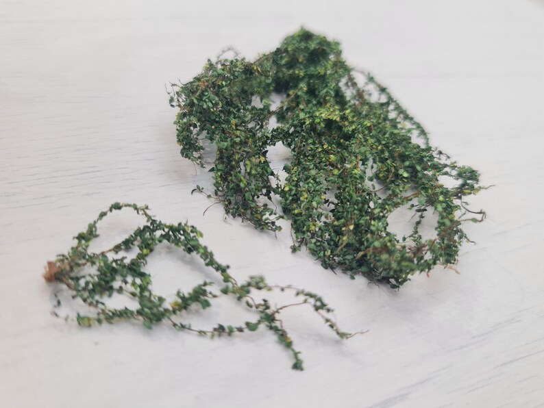 Miniature Climbing Vines for Dioramas, Model Railways & Dollhouses ...