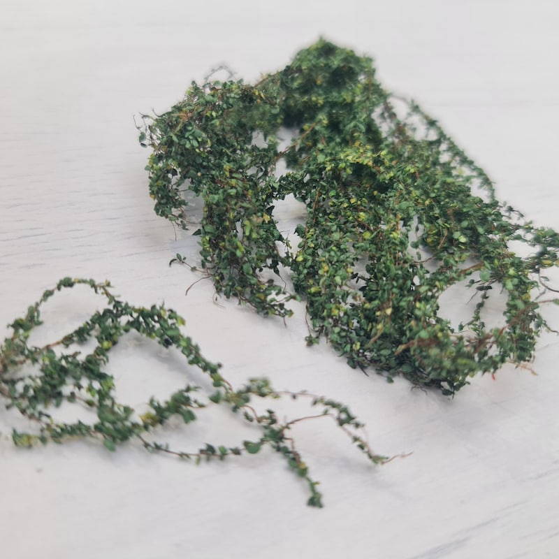Green Hedge for Doll House - Etsy Canada