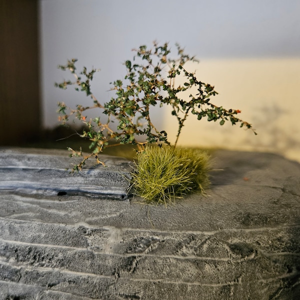 Seafoam Model Trees - Etsy