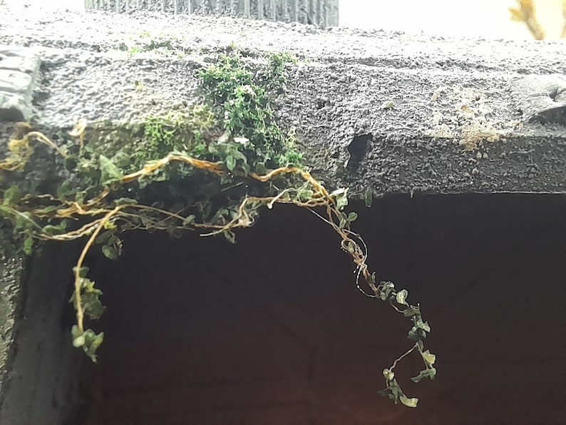 Miniature Climbing Vines for Dioramas, Tabletop, Model Railways ...
