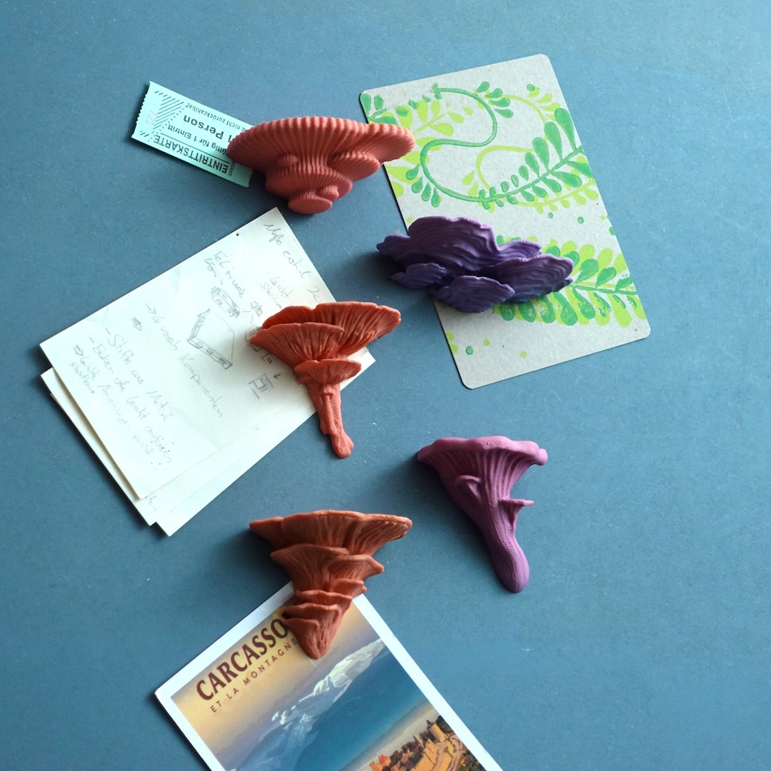 Mushroom Magnets, Fungus, Fungi Wall Shelf, Goblincore, Fairycore, Boho ...
