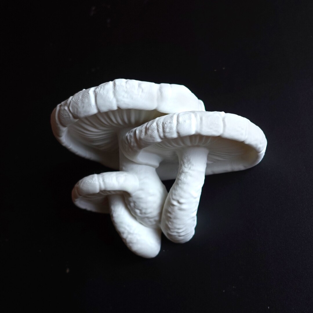 Mushroom Floating Shelf - the Edodes Fungus, Fungi Wall Shelf ...