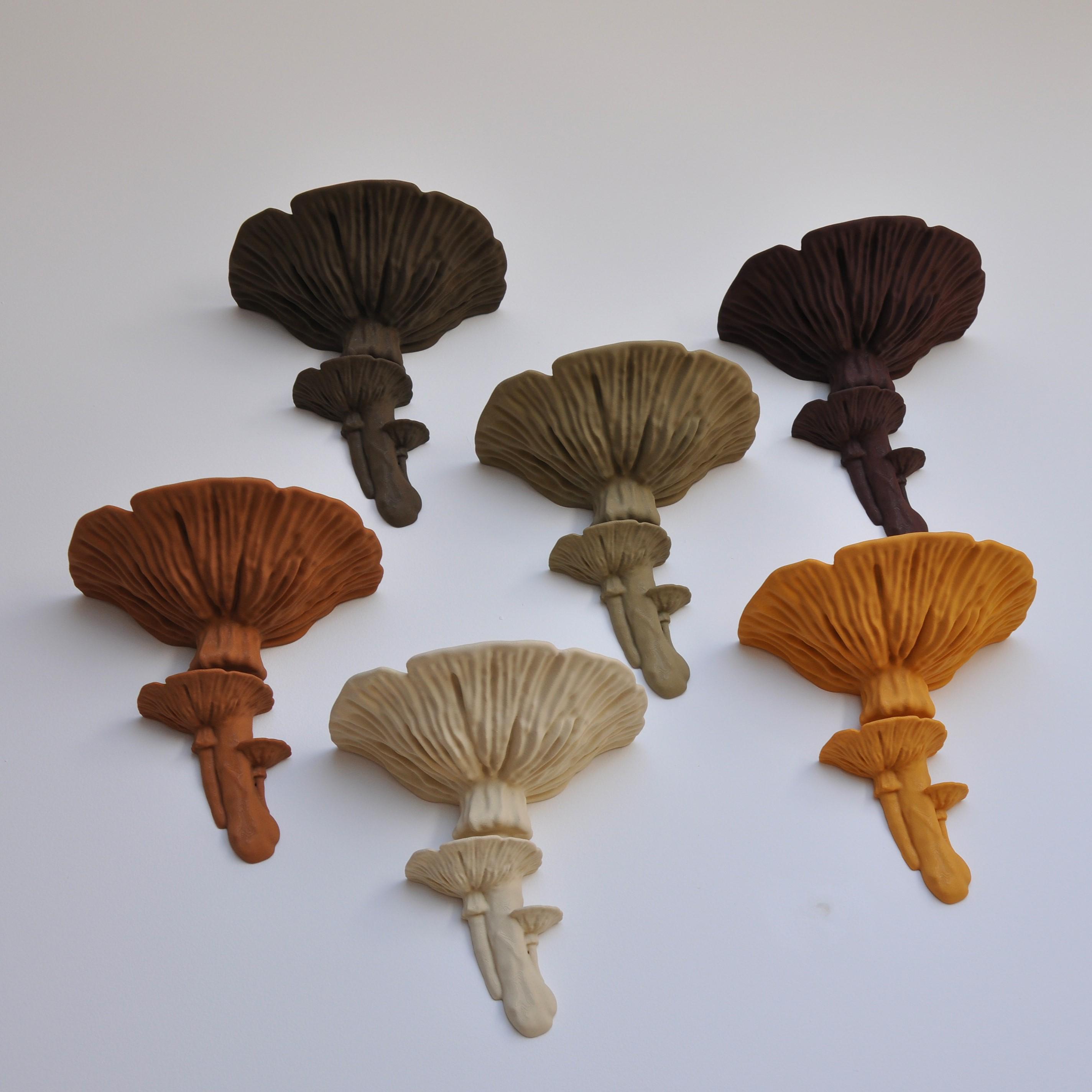 PLA Wood Mushroom Floating Shelf - the Amanita Fungus, Fungi Wall Shelf ...