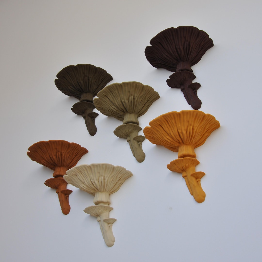 PLA Wood Mushroom Floating Shelf - the Amanita Fungus, Fungi Wall Shelf ...