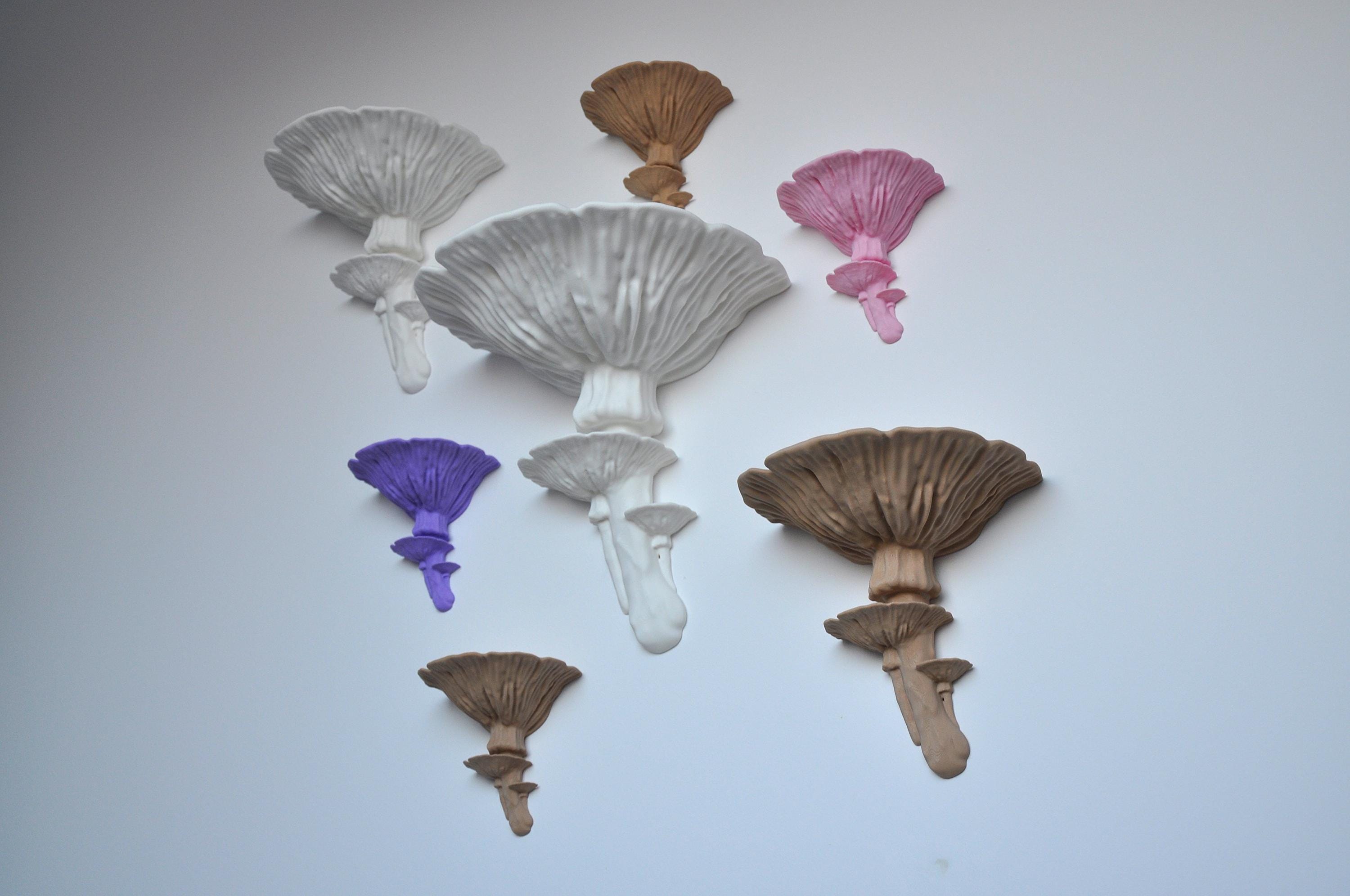 Mushroom Floating Shelf - the Amanita Fungus, Fungi Wall Shelf ...