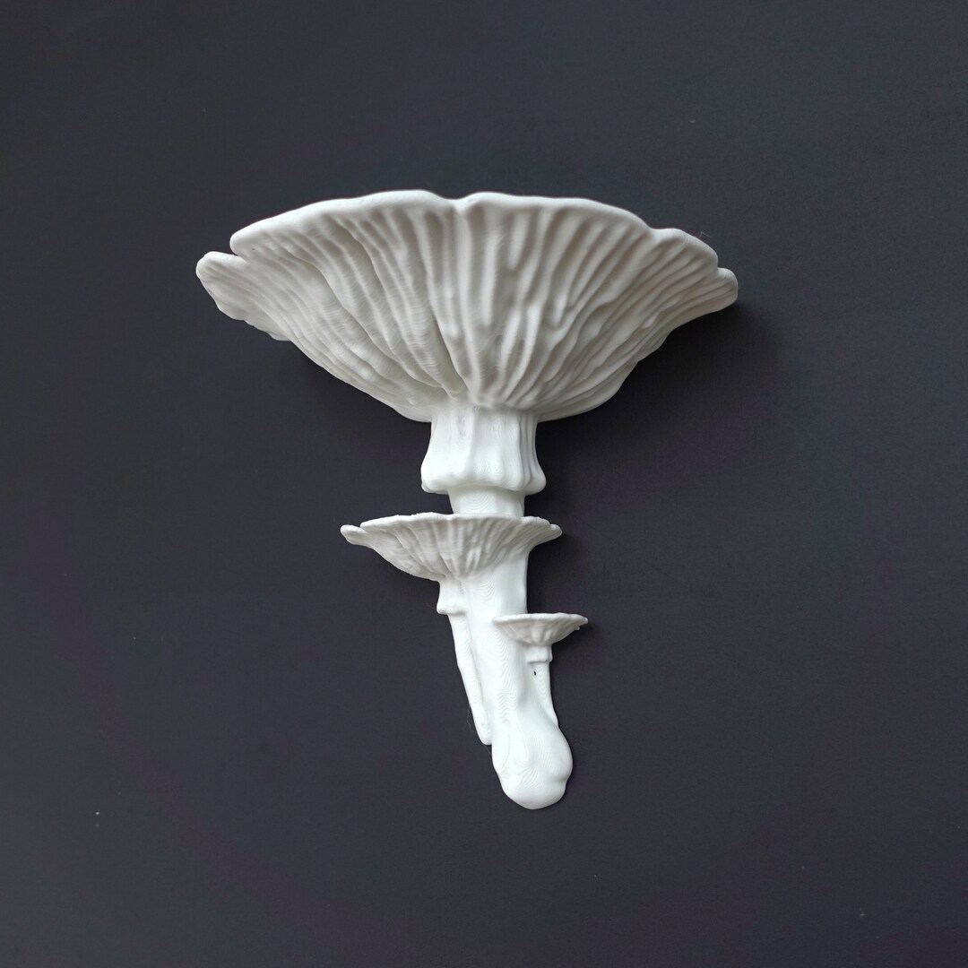 Mushroom Floating Shelf - the Amanita Fungus, Fungi Wall Shelf ...