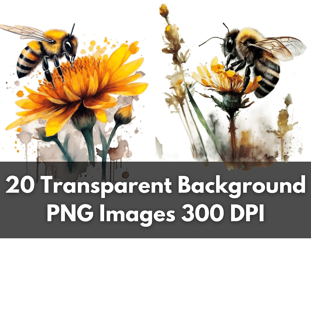 Watercolor Clip Art, Honeybee, Png, for Commercial Use, Transparent ...