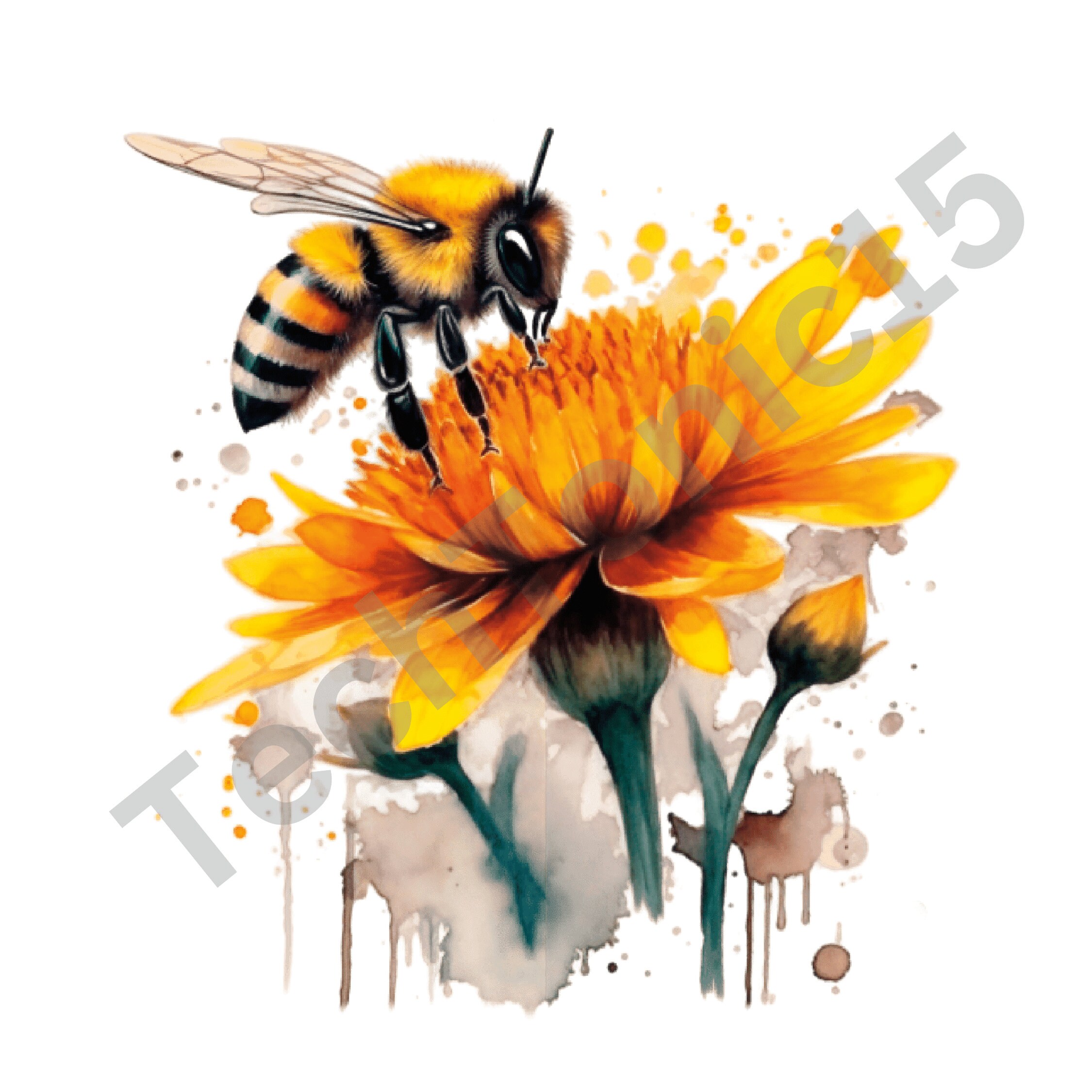Watercolor Clip Art Honeybee Png for Commercial Use - Etsy