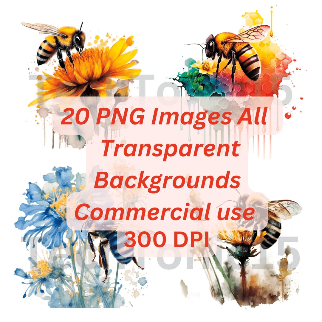 Honeybee Watercolor Clip Art for Commercial Use, Transparent Background ...