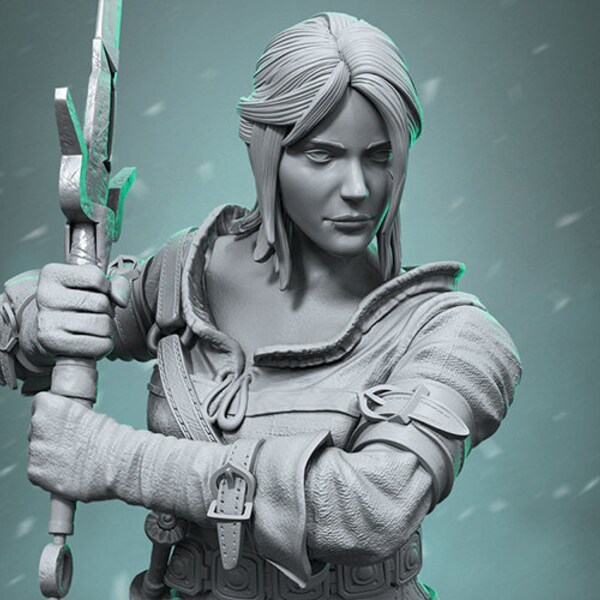 Witcher 3d Print File - Etsy
