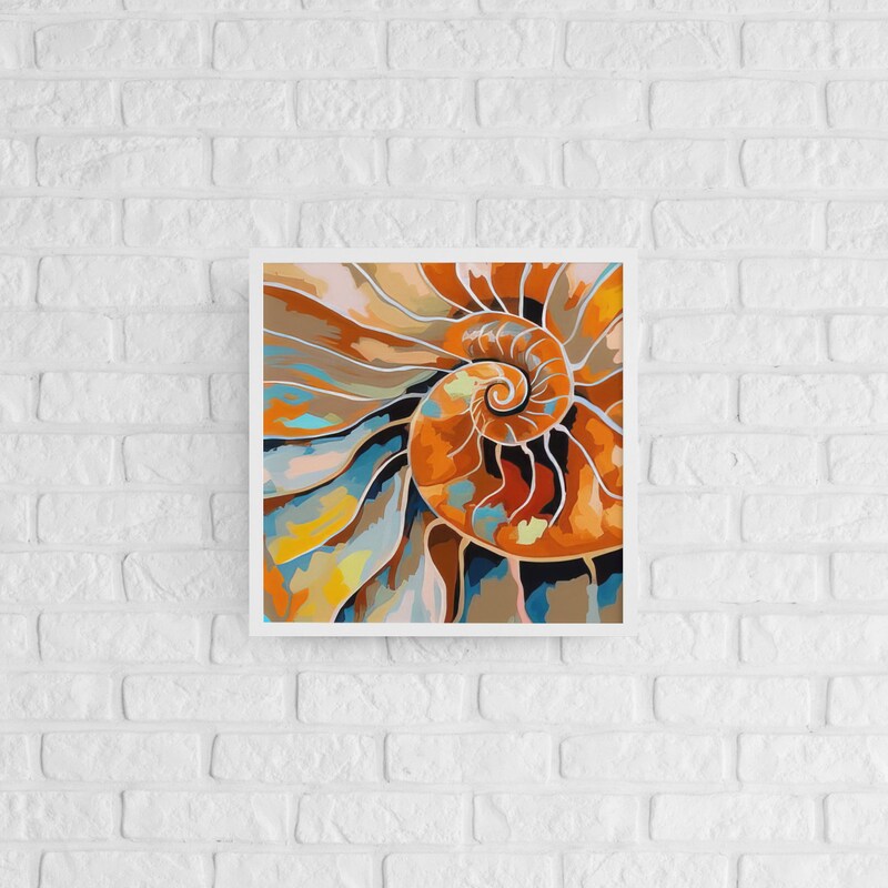 Ammonite Shell - Etsy
