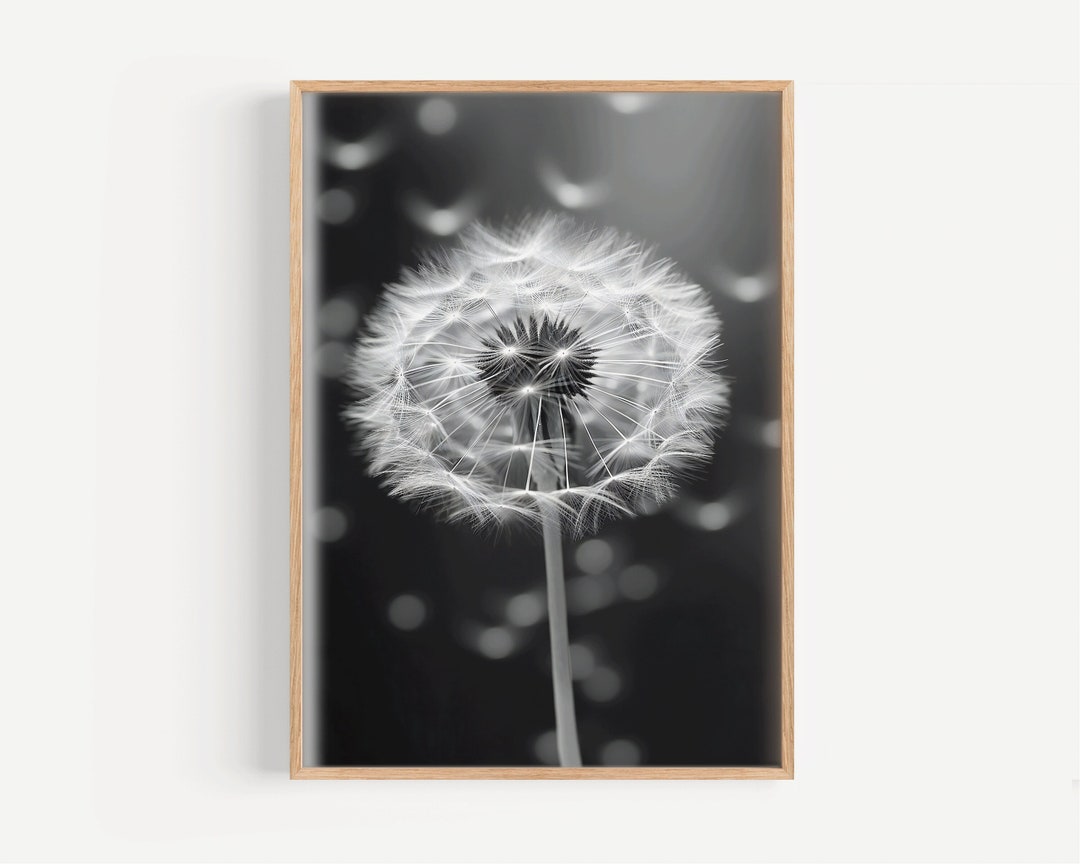 Dandelion Digital Download, Dandelion Wall Art, Dandelion Print ...