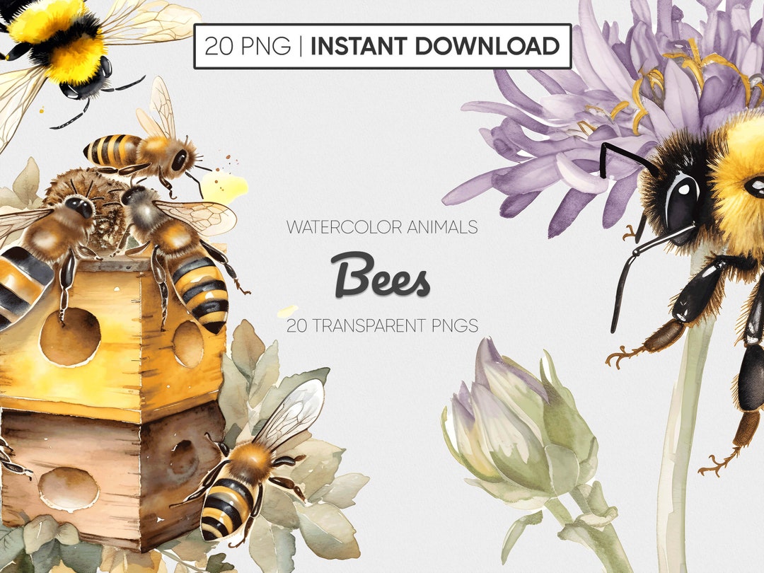 20 PNG Watercolor Honey Bee Spring Clipart Collection - Hand-painted ...