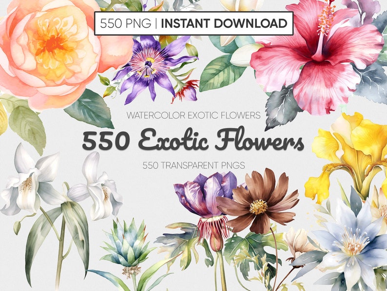 550 PNG Mega Bundle Exotic Floral Clipart Collection: Watercolor Wild ...