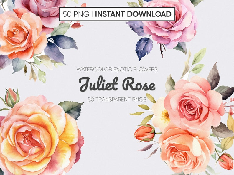 50 PNG Juliet Rose Floral Clipart Collection: Watercolor Wild Flowers ...
