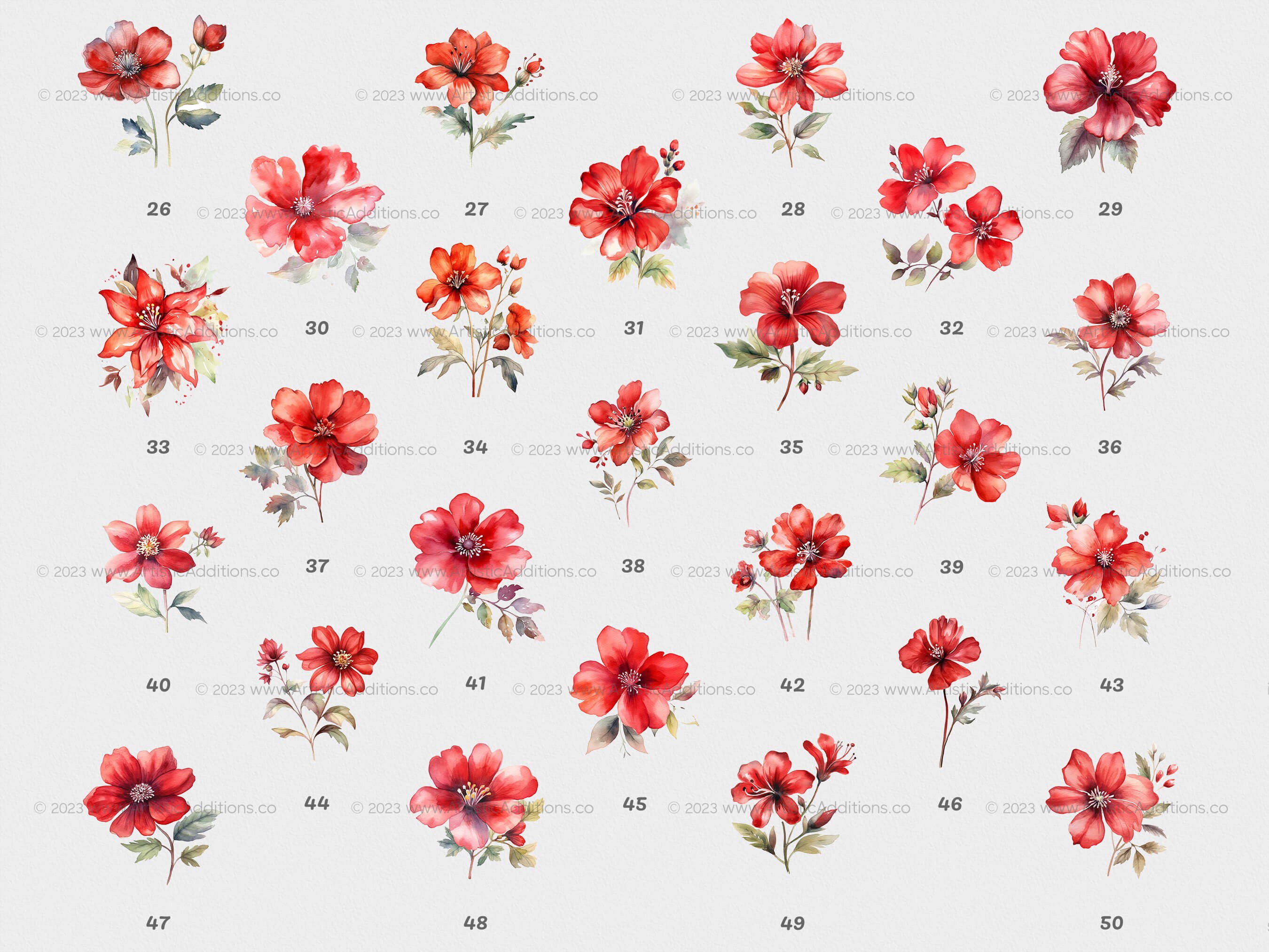 50 PNG Middlemist Red Floral Clipart Collection: Watercolor Wild ...