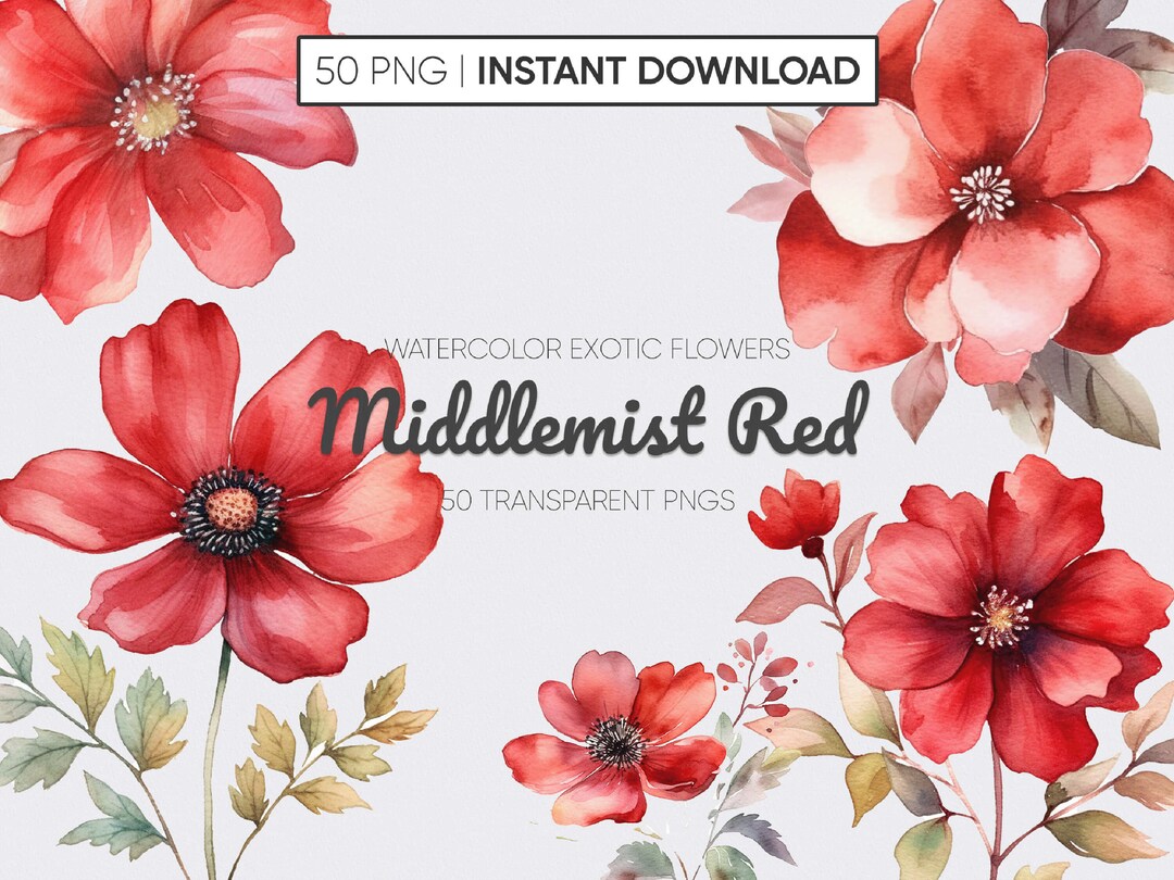 50 PNG Middlemist Red Floral Clipart Collection: Watercolor Wild ...