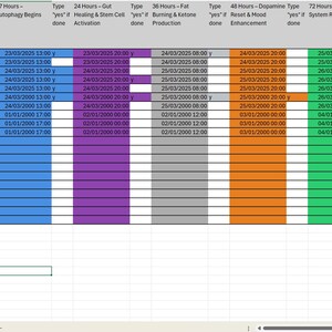 100 Hours Fasting Tracker Excel Template | Milestone-based Progress ...