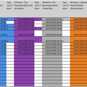 100 Hours Fasting Tracker Excel Template | Milestone-based Progress ...
