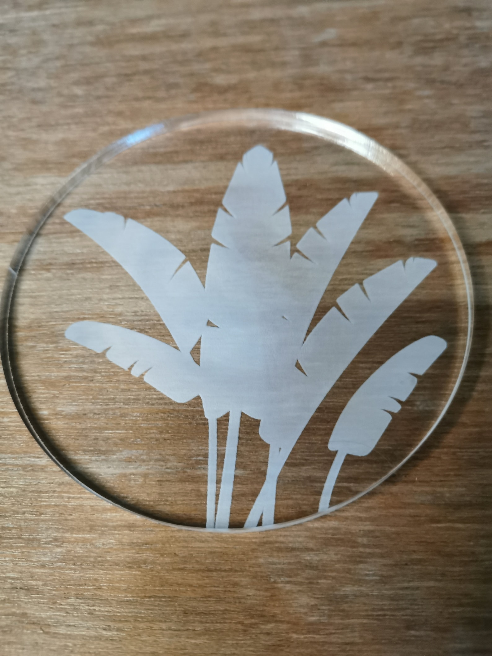 Set of 4 Engraved Acryclic Tropical Coasters or a Set of 6 Clear ...