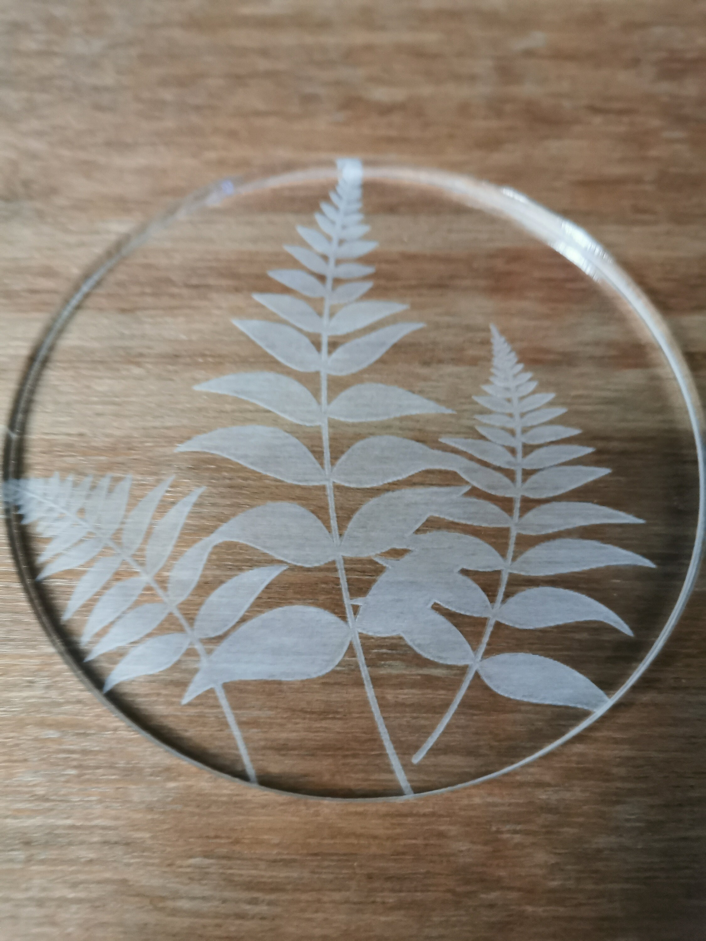 Set of 4 Engraved Acryclic Tropical Coasters or a Set of 6 Clear ...