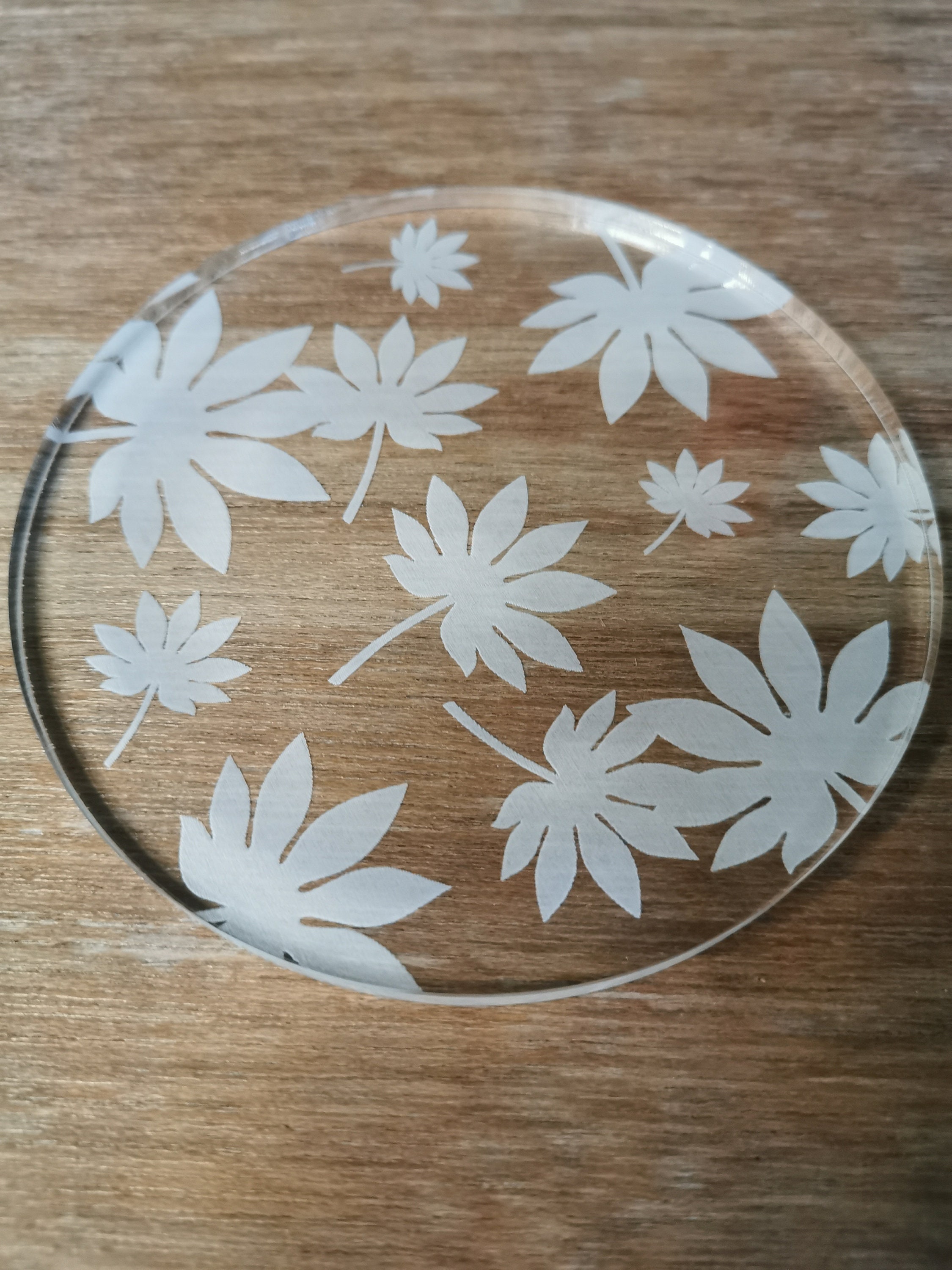 Set of 4 Engraved Acryclic Tropical Coasters or a Set of 6 Clear ...