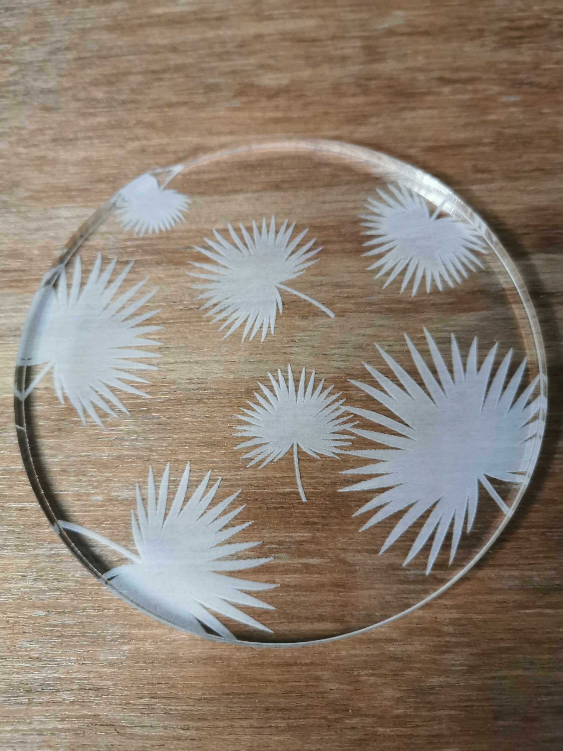 Set of 4 Engraved Acryclic Tropical Coasters or a Set of 6 Clear ...