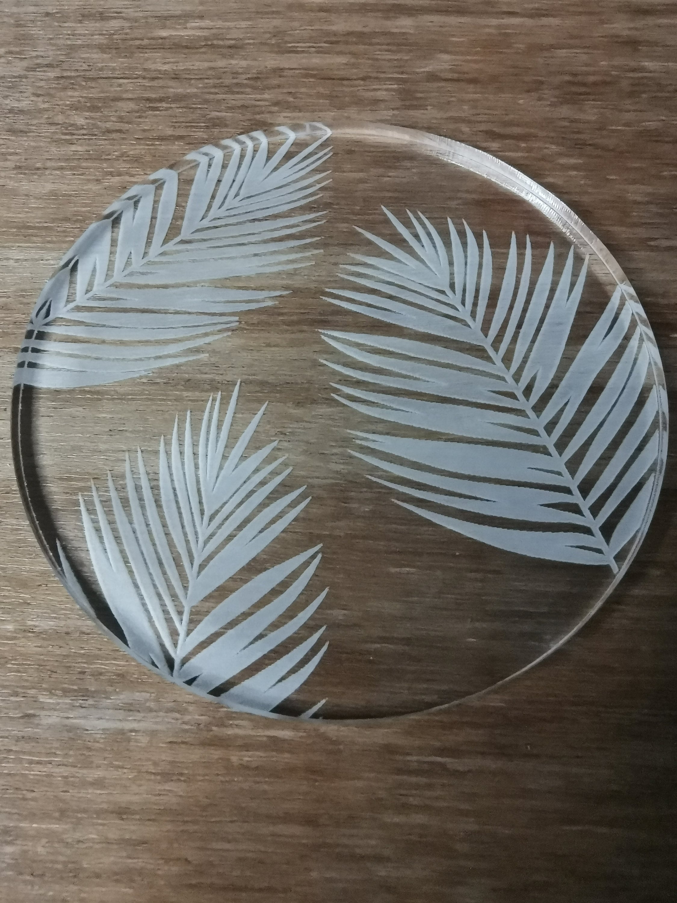 Set of 4 Engraved Acryclic Tropical Coasters or a Set of 6 Clear ...