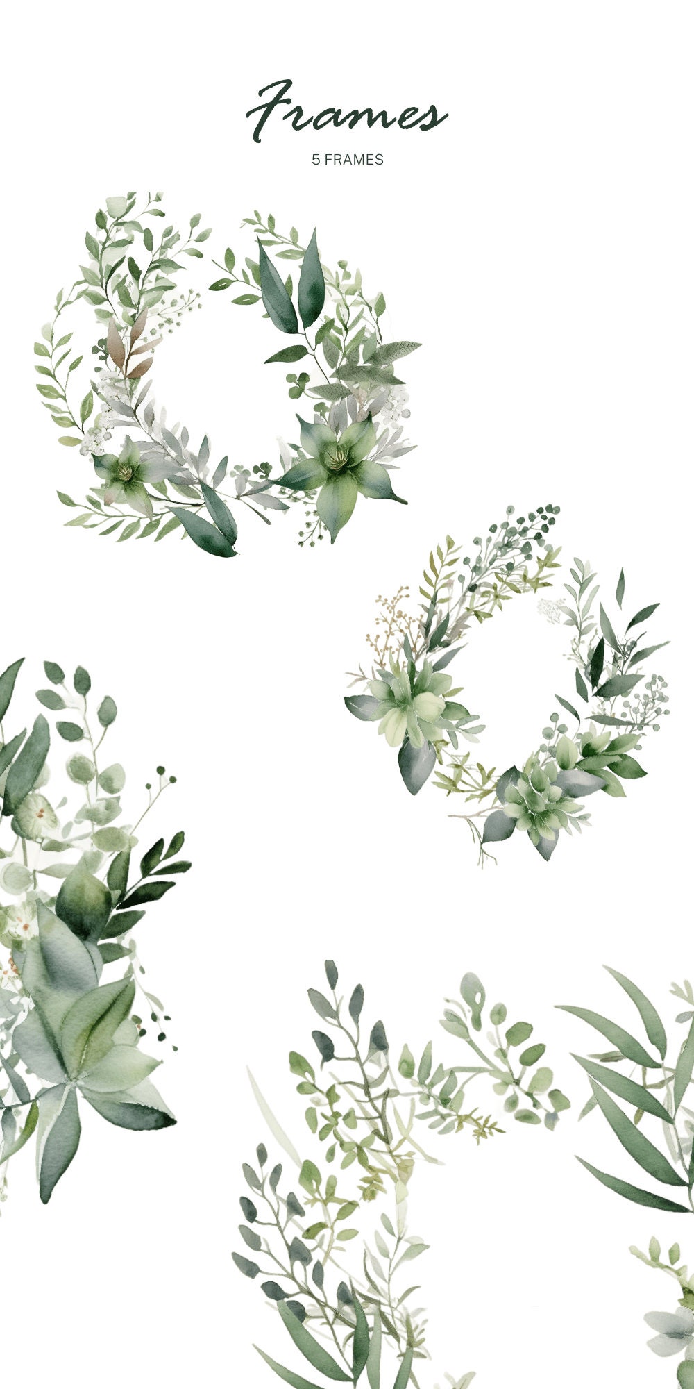 Floral Greenery Watercolor Clipart Flower Bundle Botanical Clipart ...