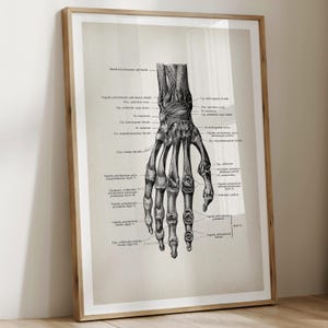 Set 6 Vintage Hand Anatomy Posters Wrist Print Palm Bones Diagram ...