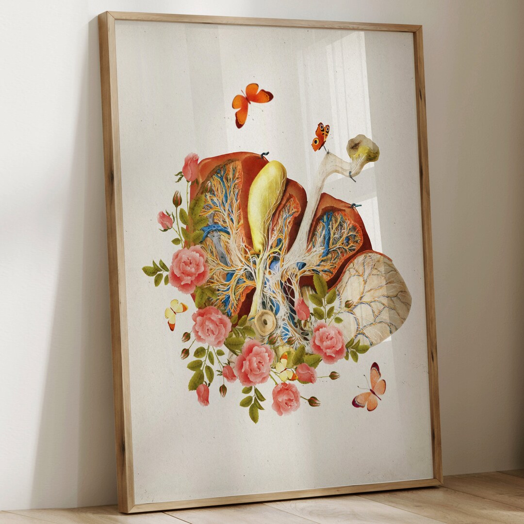 Floral Liver Art, Vintage Anatomy Art, Gastroenterology Art, Medical ...